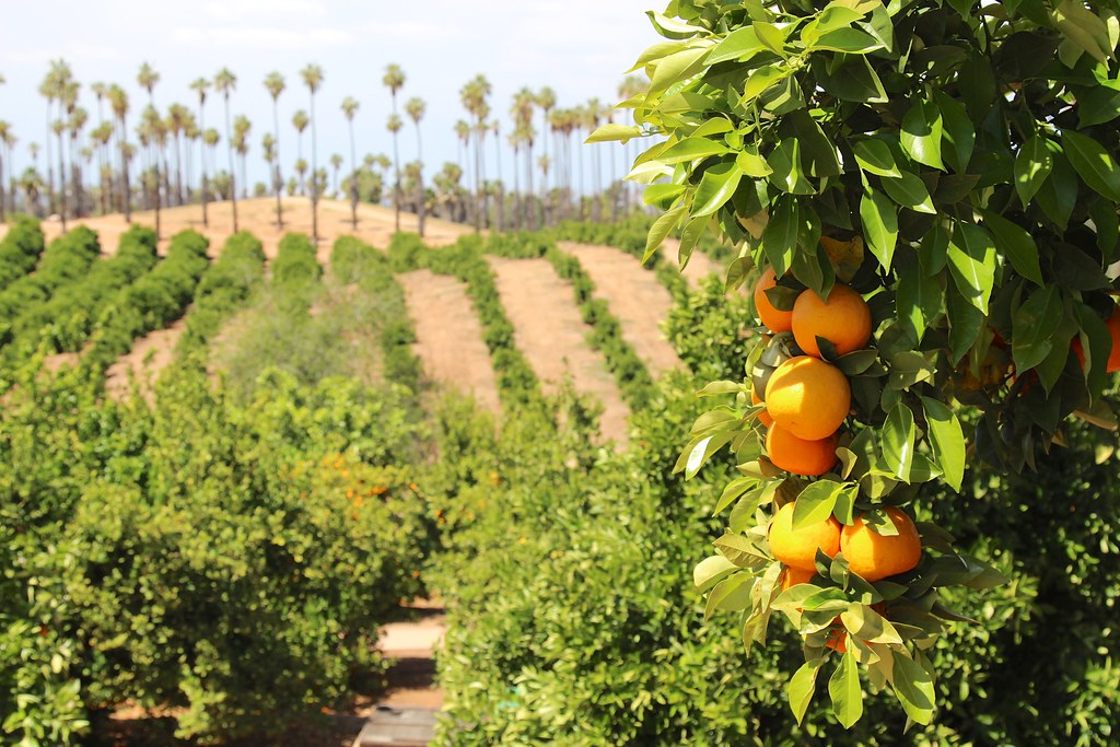 California Citrus State Historic Park - PORTS Program