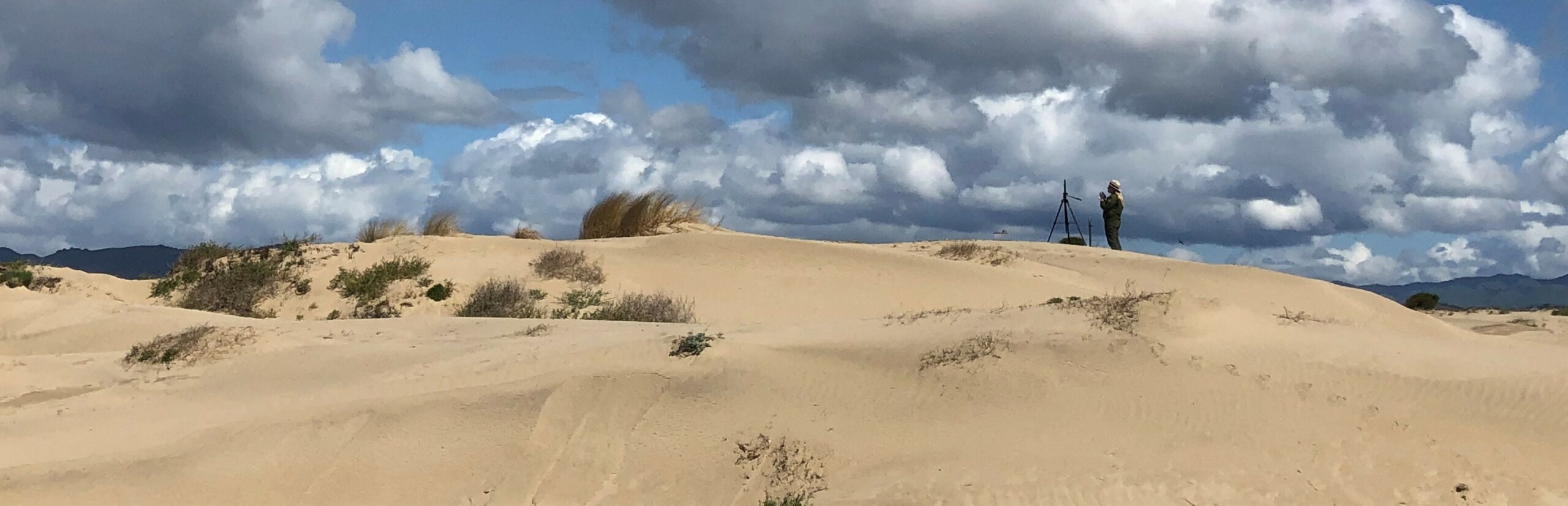 Oceano Dunes State Vehicular Recreation Area - PORTS Program