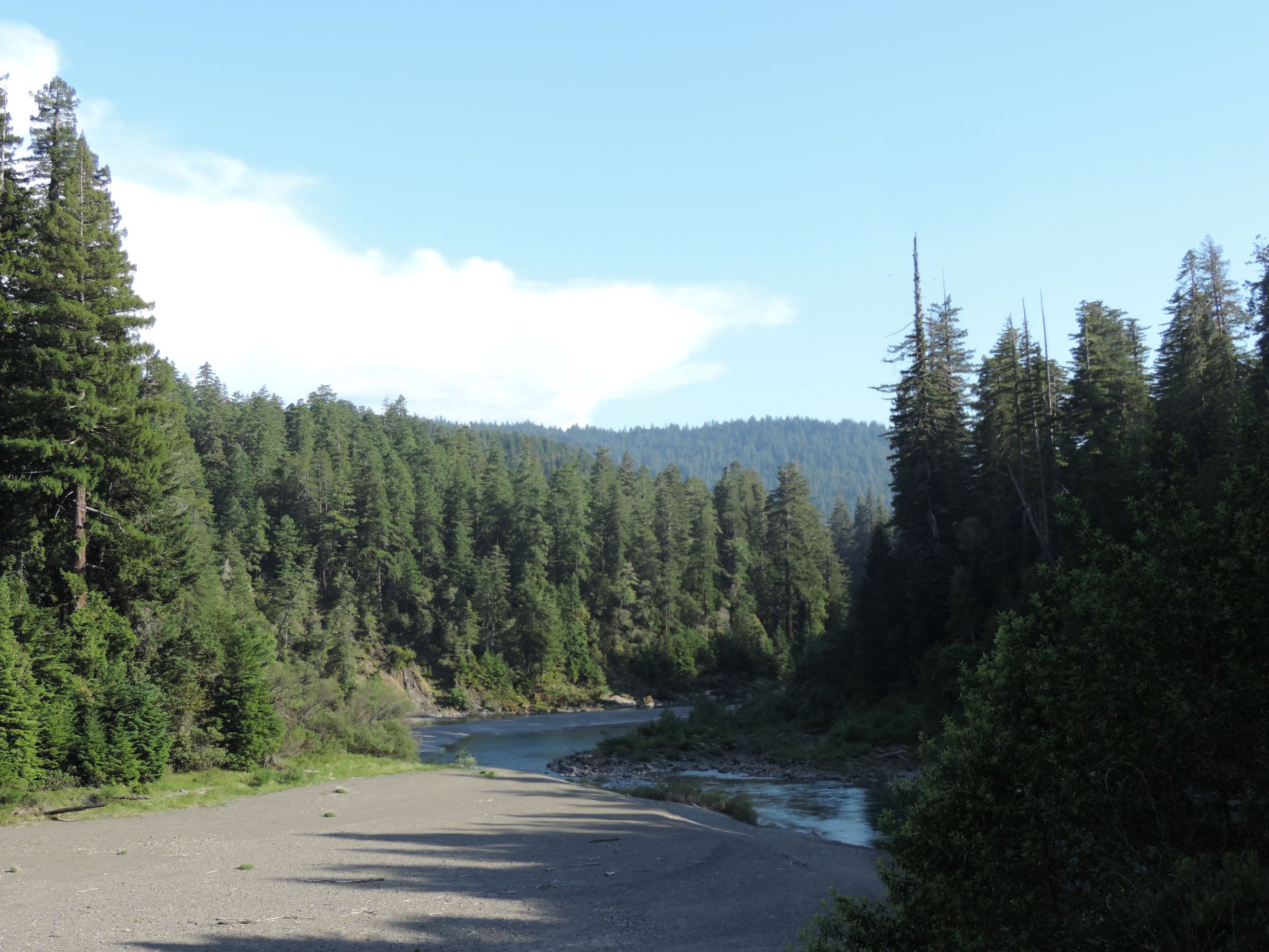 Jedediah Smith Redwoods State Park In-Person Field Trip - PORTS Program