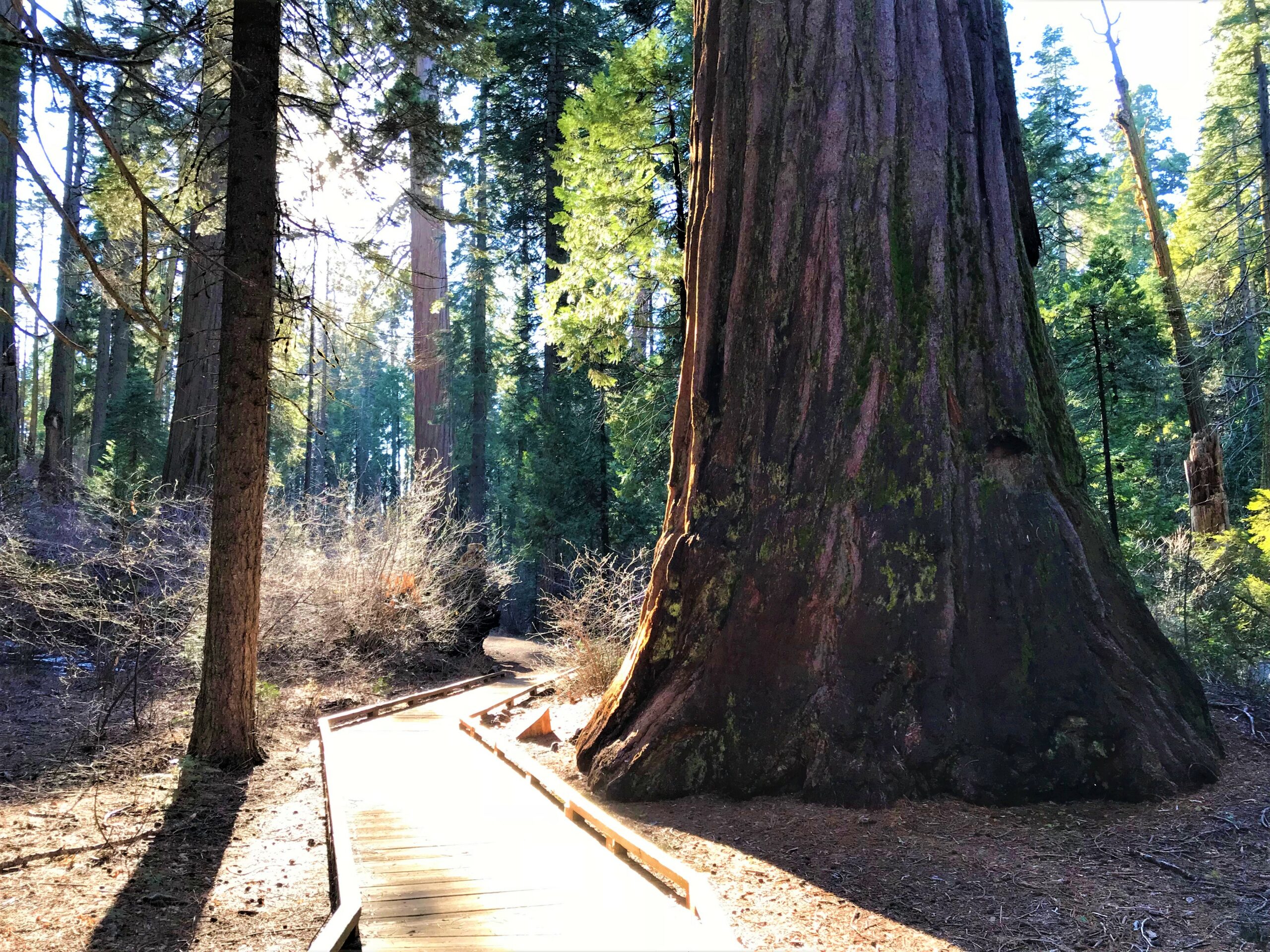 Delaware state parks for school field trips - State Parks